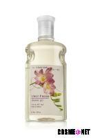 รีวิว Bath & Body Works Sheer Freesia รีวิวจากผู้ใช้จริง By Cosmenet.in.th