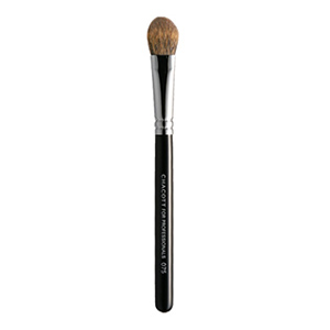 รีวิว Chacott Eyeshadow Brush รีวิวจากผู้ใช้จริง By Cosmenet.in.th