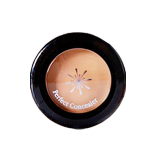 รีวิว Missha The Style Perfect Concealer รีวิวจากผู้ใช้จริง By Cosmenet.in.th